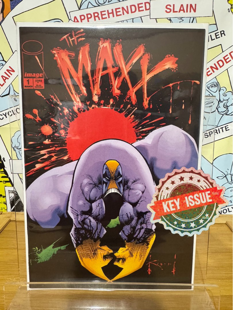 THE MAXX #1 (1st Appearance of the Maxx), Hobbies & Toys, Books ...