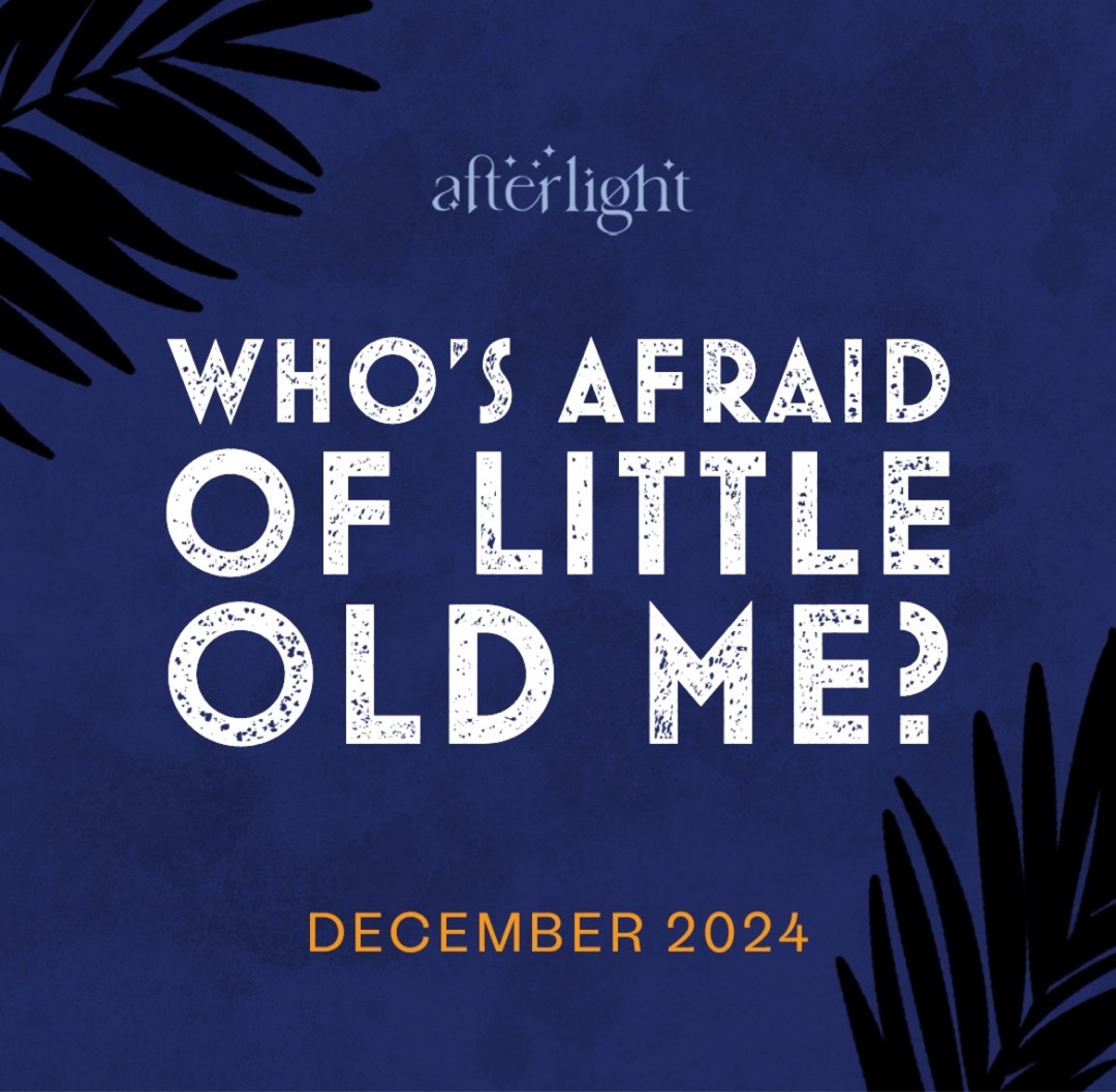 Afterlight December 2024 Box **PRE-ORDER**, Hobbies & Toys, Books ...