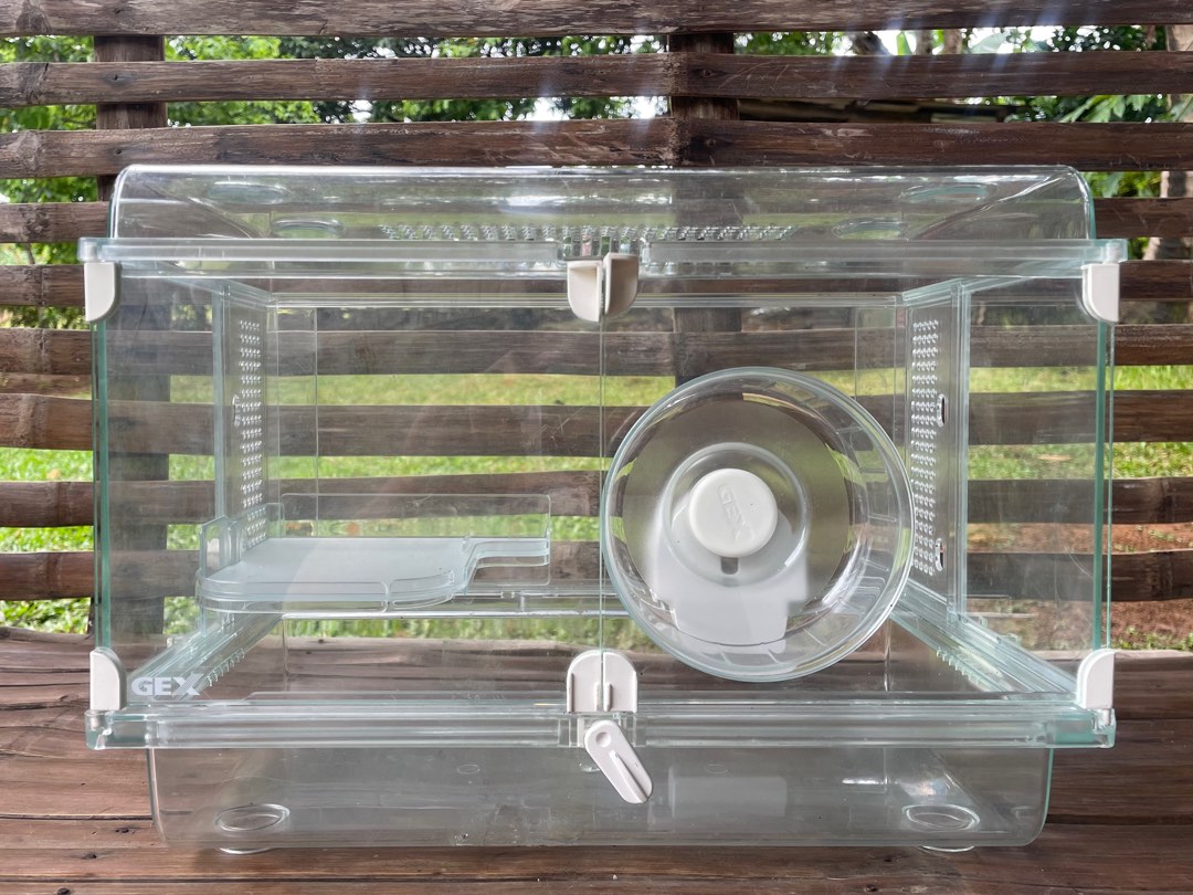 GEX GLASS HARMONY 360 Plus Hamster Cage, Pet Supplies, Homes & Other Pet Accessories on Carousell