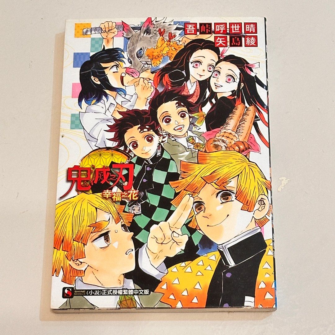 Kimestu No Yaiba (Demon Slayer) Anime Novel (Traditional Chinese ...
