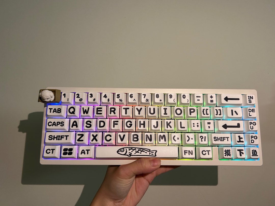 BRAND NEW Customised white lucky 65 v2 mechanical keyboard with Ktt ...