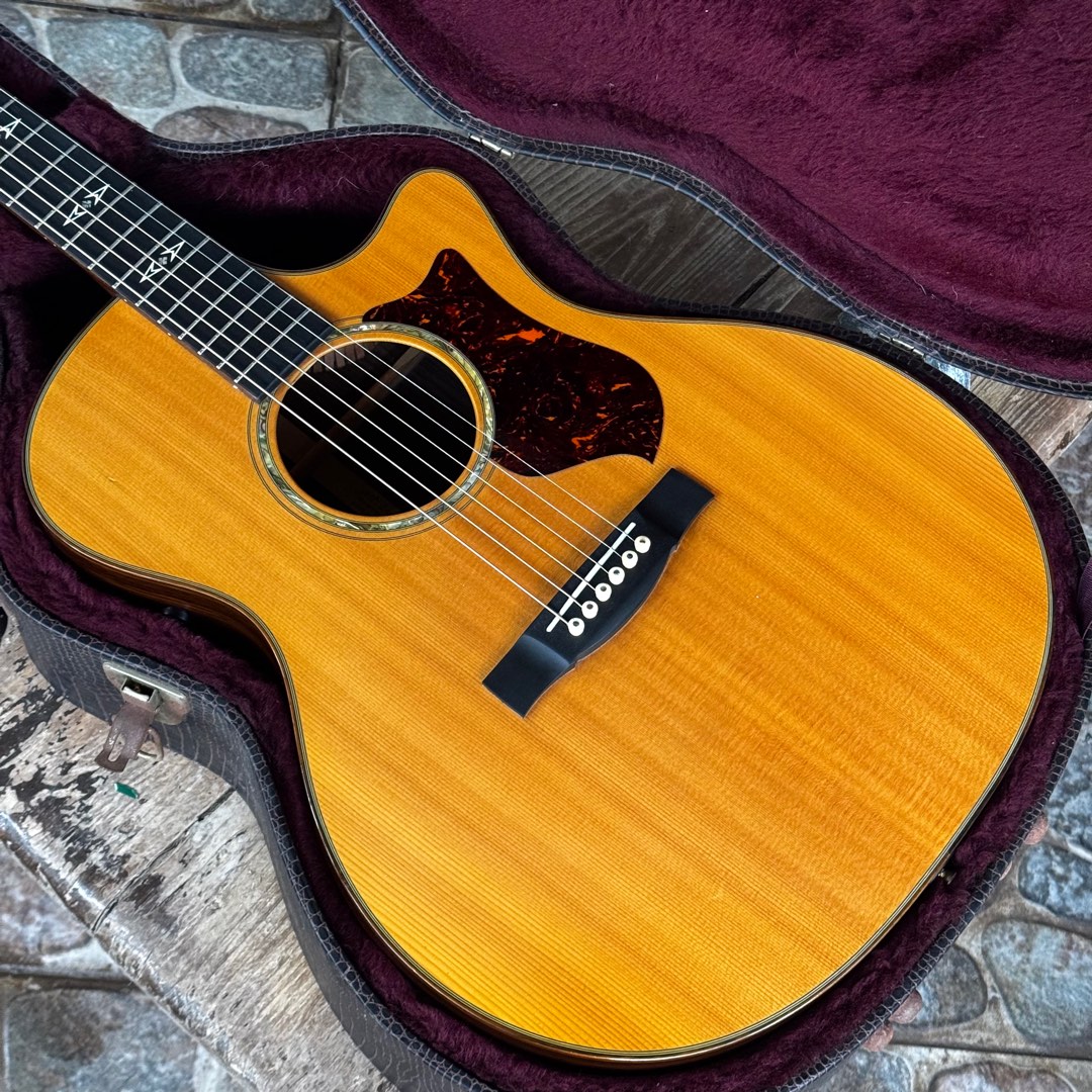 Martin GPCPA1 Plus (Flagship) Guitar w/ OHSC, Hobbies & Toys, Music ...