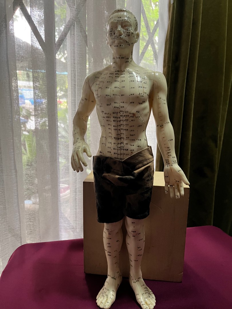 Acupuncture Human Model, Hobbies & Toys, Collectibles & Memorabilia ...