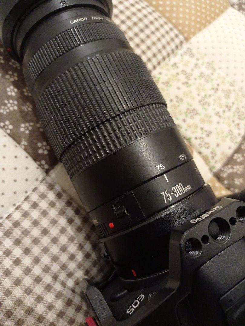 CANON EF 75-300mm f4-5.6 (BOKEH), Photography, Lens & Kits on Carousell