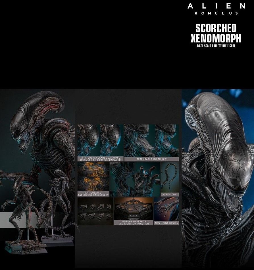 [PO] Hot Toys MMS784 Alien Romulus Scorched Xenomorph 1/6 Figure ...