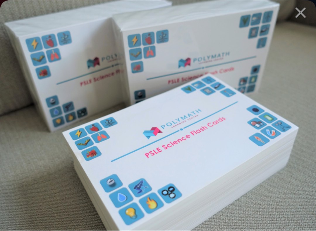 PSLE Science Flashcards (MOE Syllabus) P3 - P6, Hobbies & Toys ...