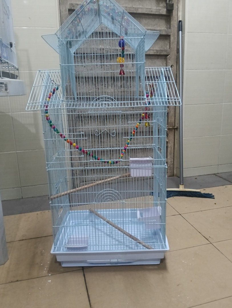 Sangkar Burung / Sugar Glider tinggi 103cm x lebar dalam 51cm, Pet ...