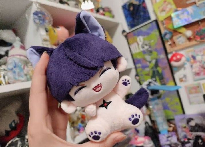 Hoshina Fan made plush, Hobbies & Toys, Toys & Games on Carousell