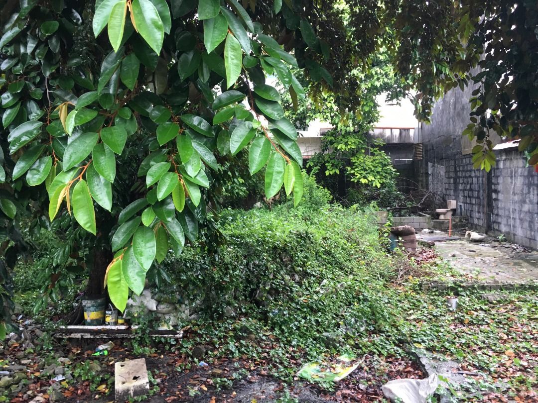 Intramuros Manila lot for sale, Property, For Sale, Lot on Carousell