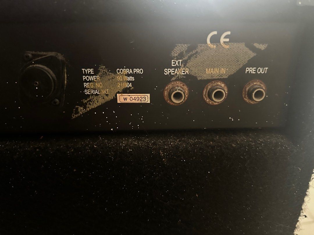 Prince Cobra Pro Amp 90watts, Hobbies & Toys, Music & Media, Musical ...