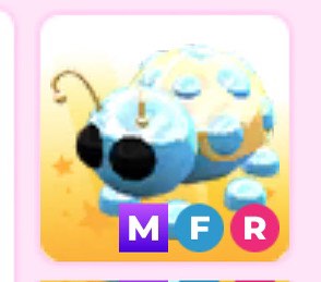 Roblox Adopt Me Mega Fly Ride Diamond Ladybug Adopt Me MFR Diamond ...