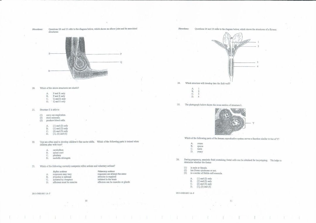 DSE Biology Past Paper Qs & Ans (sp, pp, 2012–2024) 2025最新版 // 還有中、英文版：Econ // Geog // Phy ...
