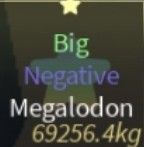 Fisch Big negative megalodon 69256. 4kg (if you are interested dm me ...