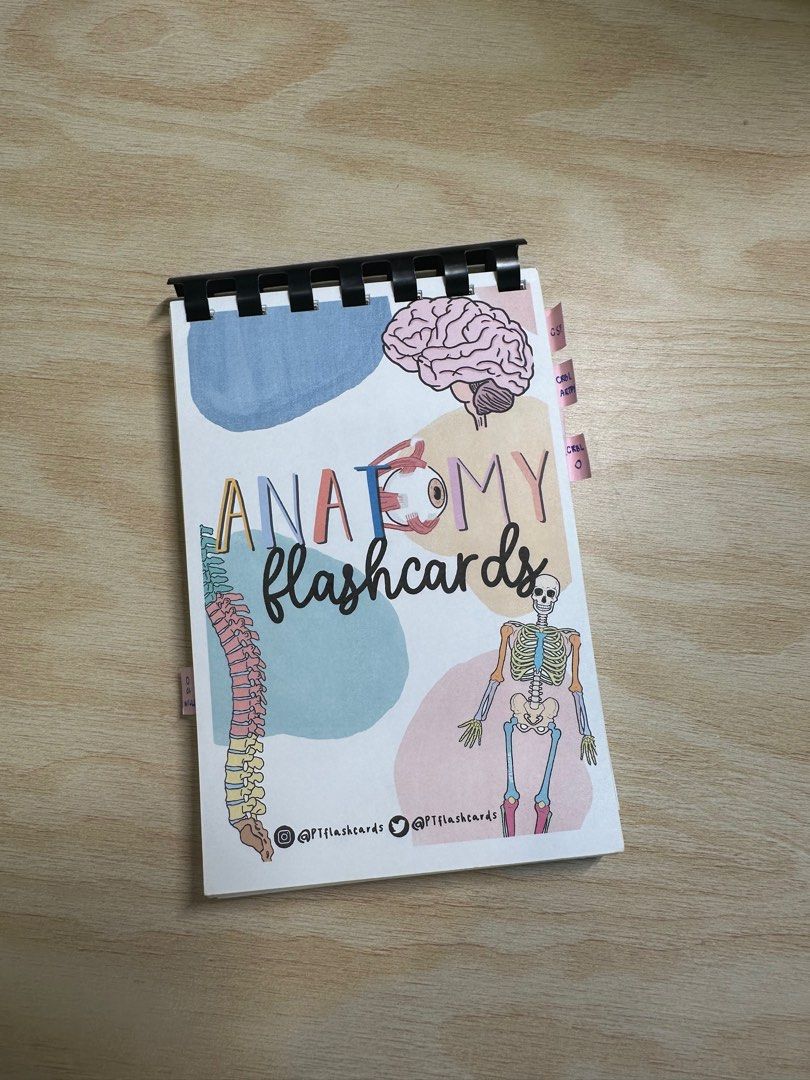 @ptflashcards ANATOMY FLASHCARDS, Hobbies & Toys, Books & Magazines ...