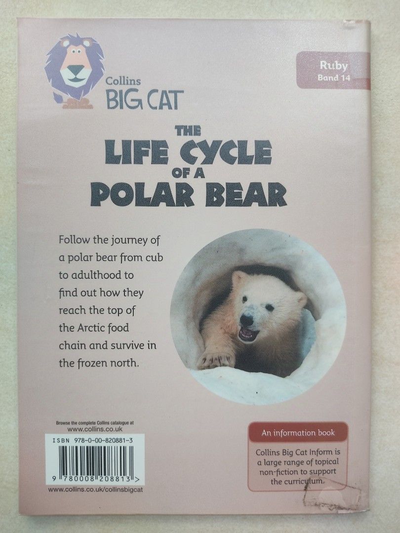 The Life Cycle of a Polar Bear, Hobbies & Toys, Books & Magazines ...