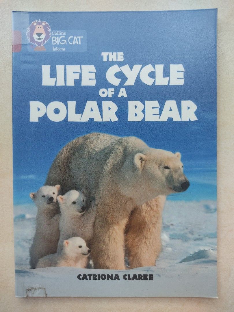The Life Cycle of a Polar Bear, Hobbies & Toys, Books & Magazines ...