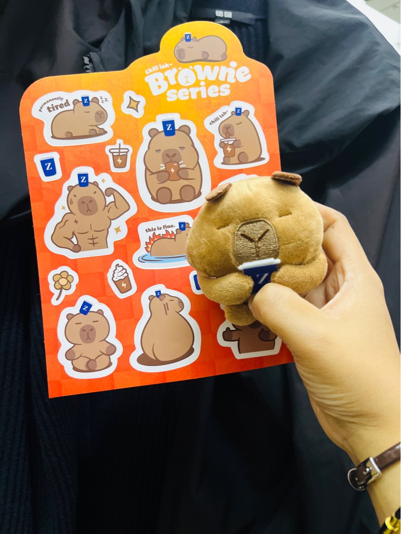PLUSHIE CAPPYBARA & STICKER ZUS COFFFEE, Hobbies & Toys, Toys & Games ...