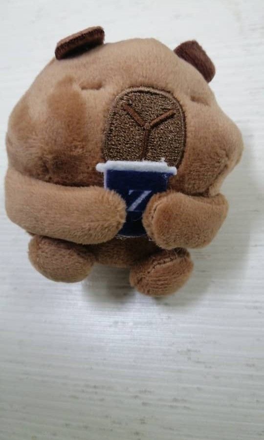 Zus coffee Capybara plush ie pin limited edition, Hobbies & Toys ...