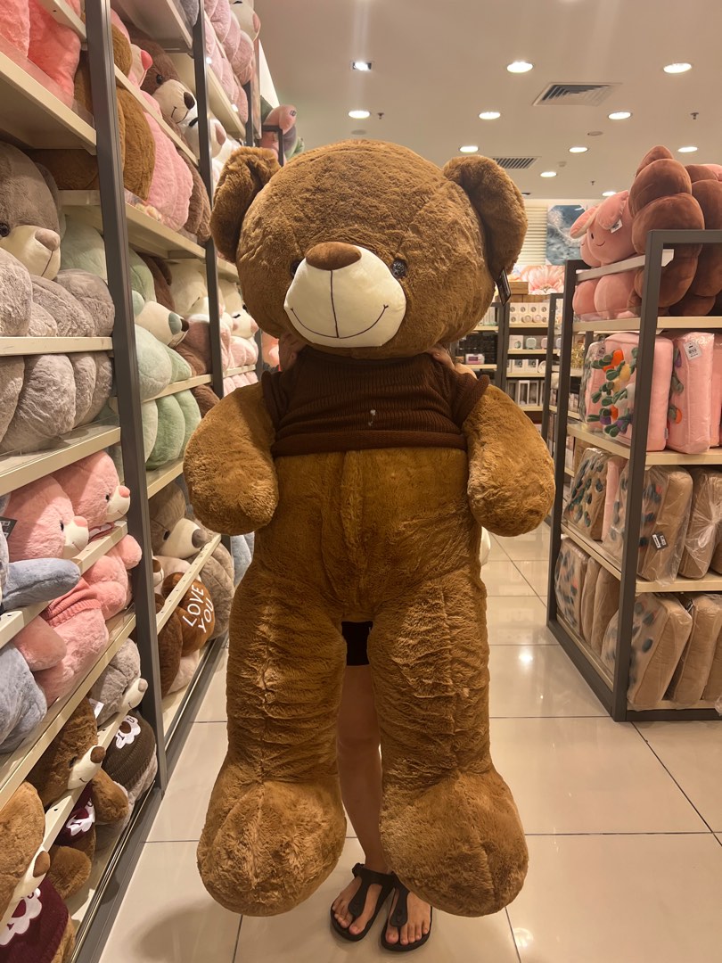 120cm Teddy Bear, Hobbies & Toys, Toys & Games on Carousell