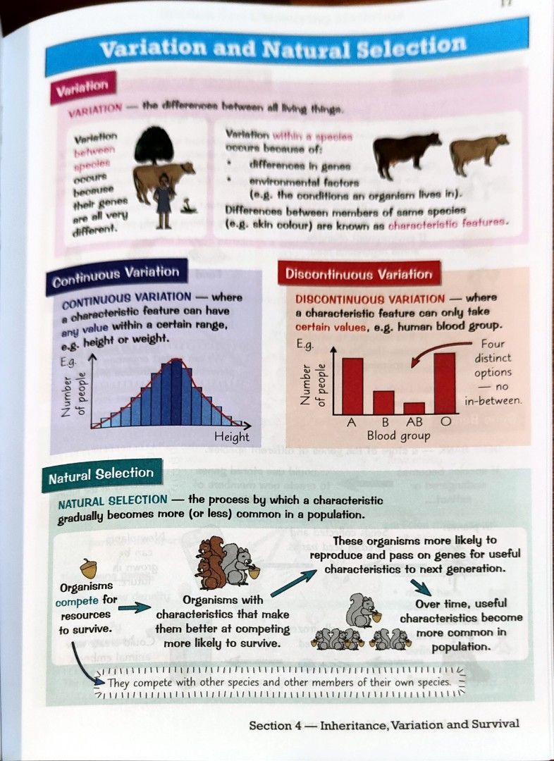 CGP Key Stage Three Knowledge Organiser Science (Biology, Chemistry ...