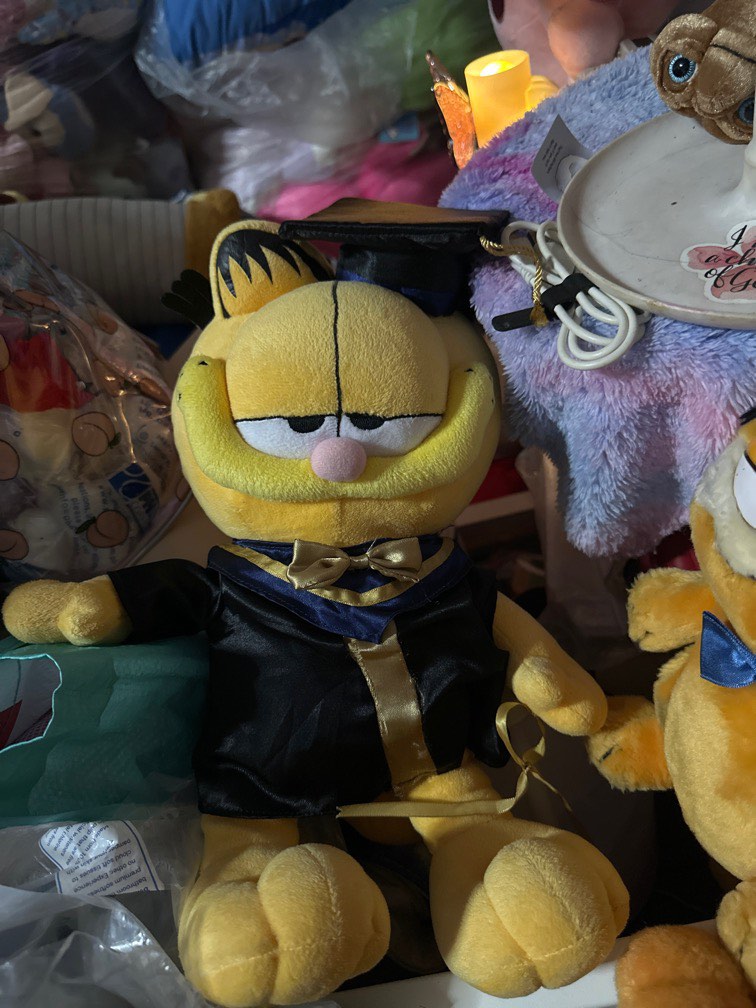 Garfield stuffed toy in graduation costume rare with papertag, Hobbies ...