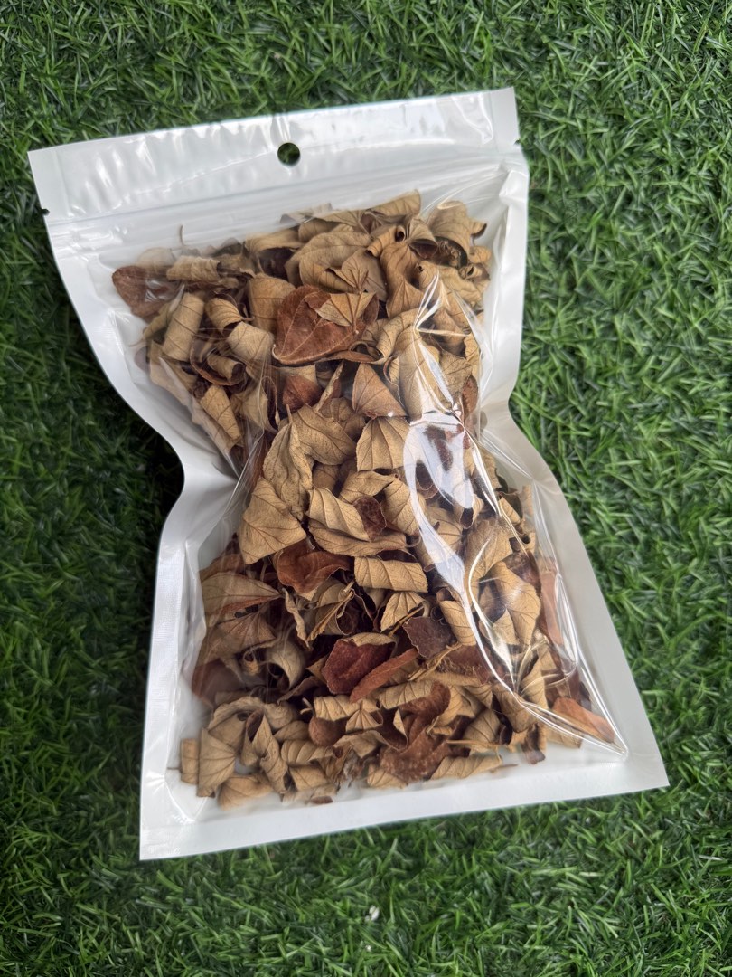 Daun bidara kering. 3 paket RM10, Beauty & Personal Care, Bath & Body ...
