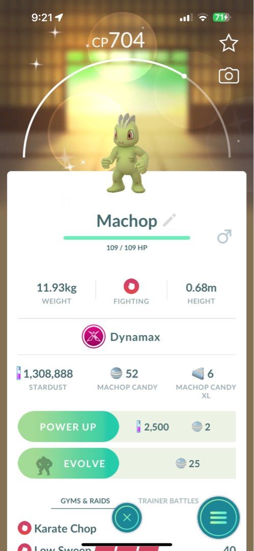 Shiny Dynamax Machop Pokemon Go, Video Gaming, Gaming Accessories, In ...