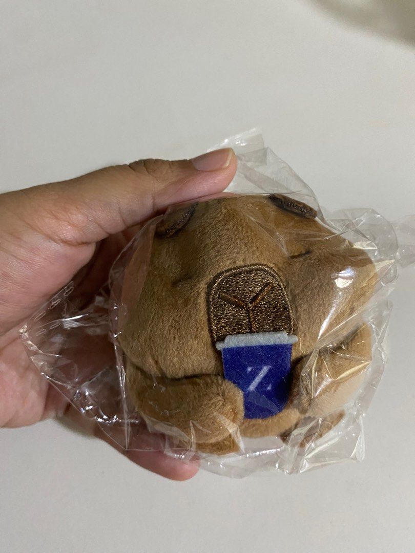 (Swap only) Zus Capybara Plushie Pin, Hobbies & Toys, Toys & Games on ...
