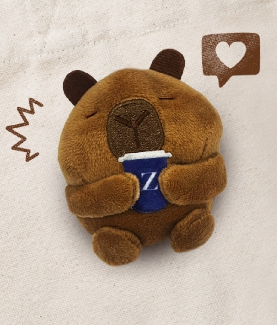ZUS Capybara Plushie Pin, Hobbies & Toys, Collectibles & Memorabilia ...