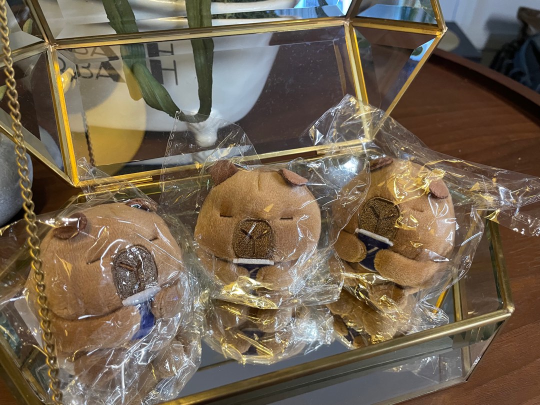 Zus Capybara Plushie Pin, Hobbies & Toys, Toys & Games on Carousell