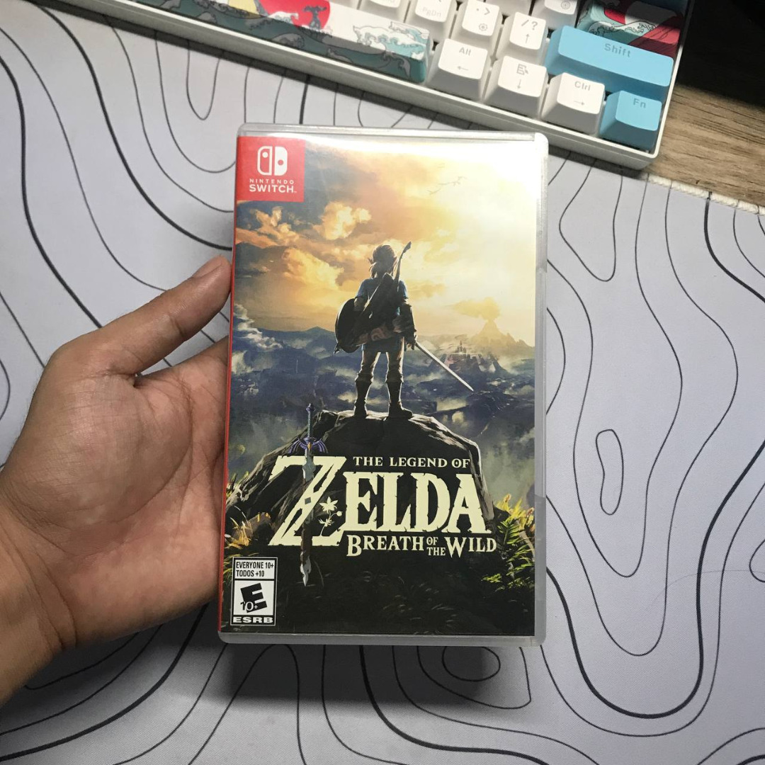 Nintendo Switch The Legend of Zelda BOTW with Case, Video Gaming, Video ...