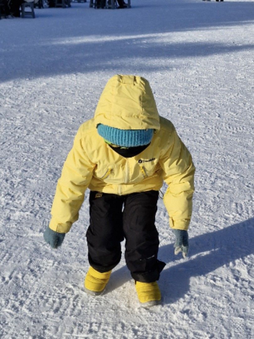 Waterproof snow ski jacket, Men's Fashion, Coats, Jackets and Outerwear ...