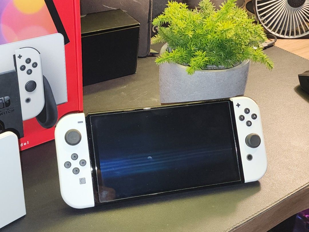 Nintendo Switch OLED with Free Skull & Co EDC Case, Video Gaming, Video ...