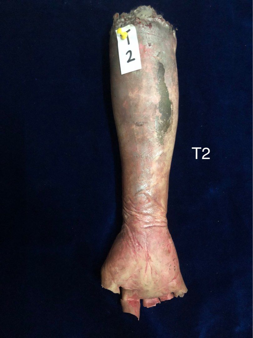 Party Halloween decoration party prop cosplay bloody broken hand horror ...