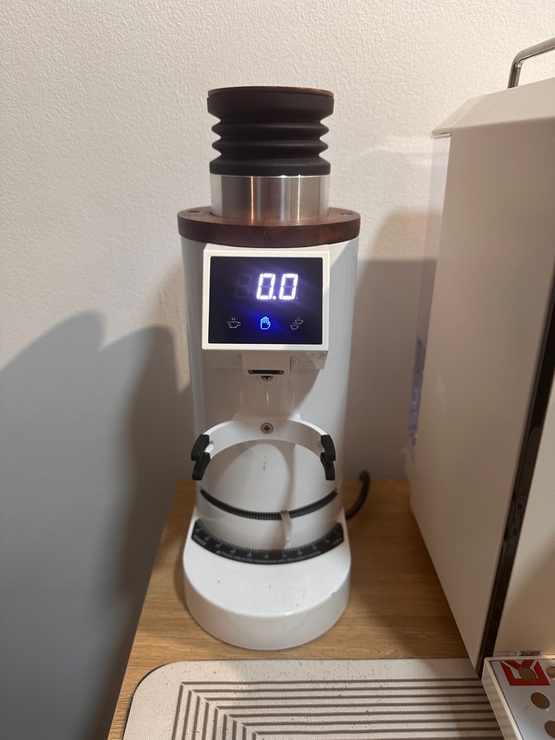 DF64E Coffee Grinder, TV & Home Appliances, Kitchen Appliances, Coffee ...