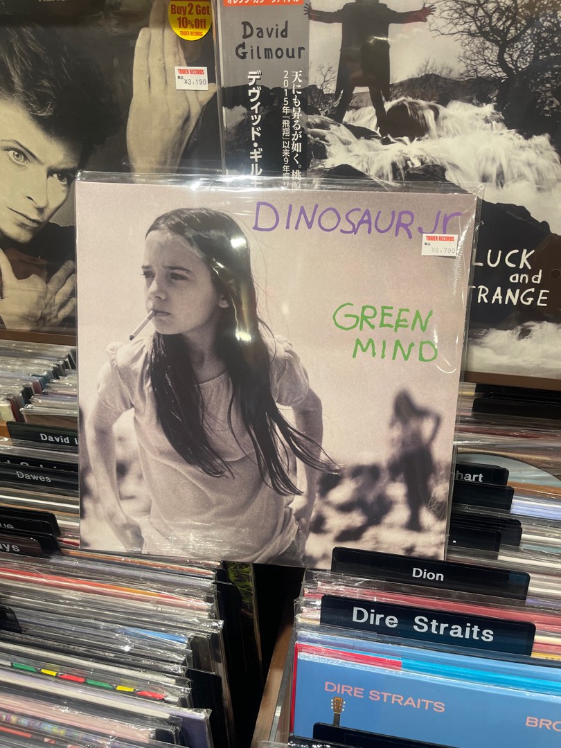 Dinosaur jr lp vinyl, Audio, Other Audio Equipment on Carousell