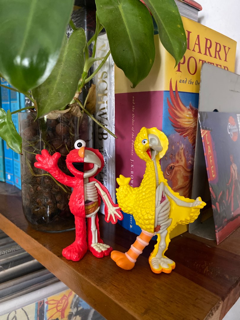 Freeny's Hidden Dissectibles; Elmo & Big Bird, Toys & Collectibles ...