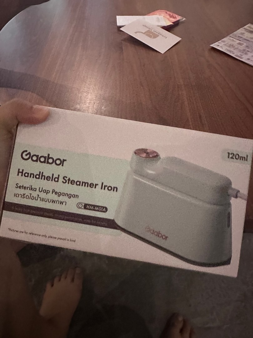 Gaabor Handheld Streamer Iron, TV & Home Appliances, Irons & Steamers ...