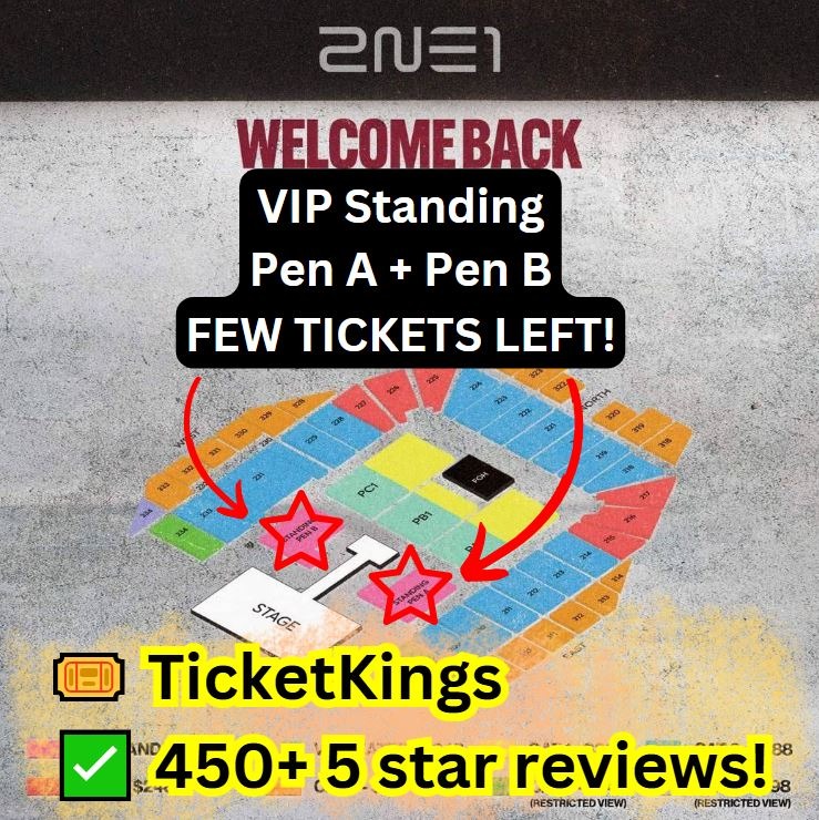 [VIP STANDING] 2NE1 ASIA TOUR [WELCOME BACK] IN SINGAPORE CONCERT ...
