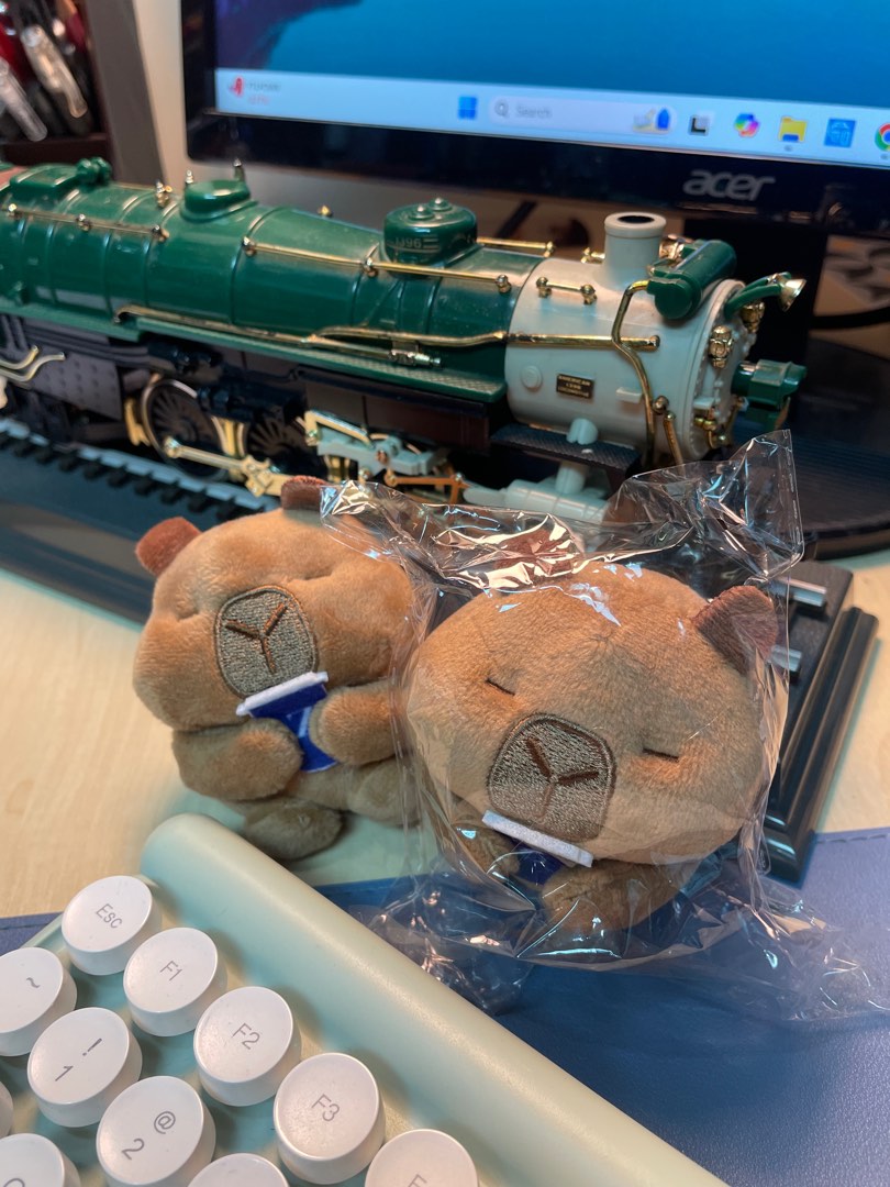 Zus Capybara Pin, Hobbies & Toys, Toys & Games on Carousell