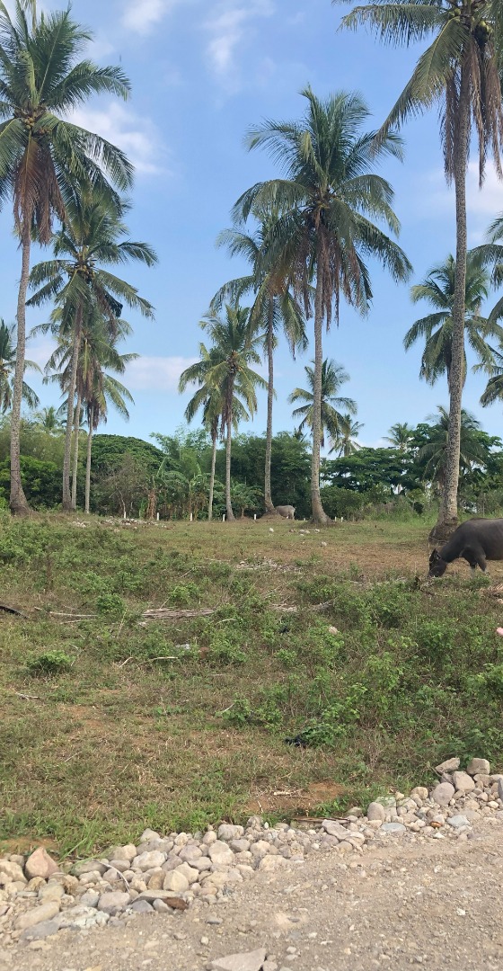 1500 sqm ready farm lot for sale in Magallanes Cavite near Tagaytay ...