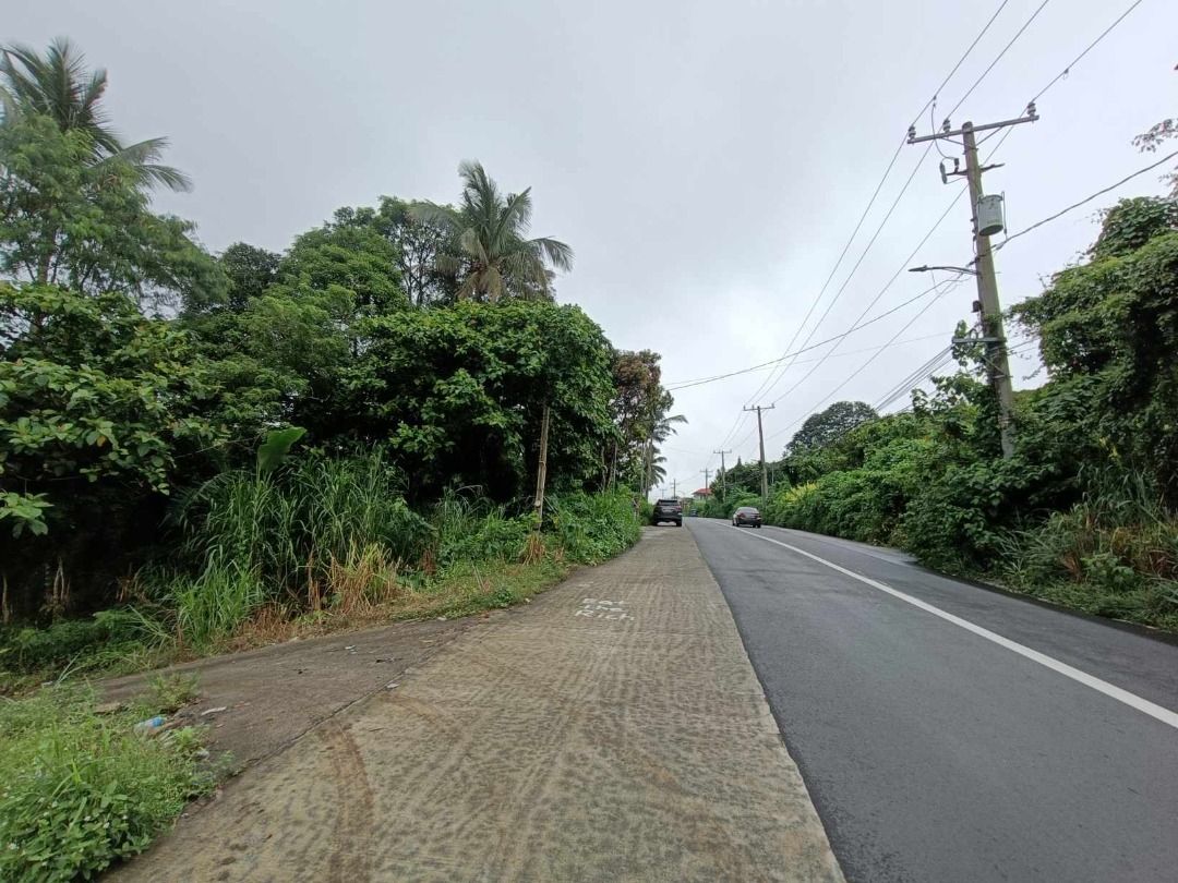 Commercial Lot for sale SVD road Tagaytay City, Property, For Sale, Lot ...
