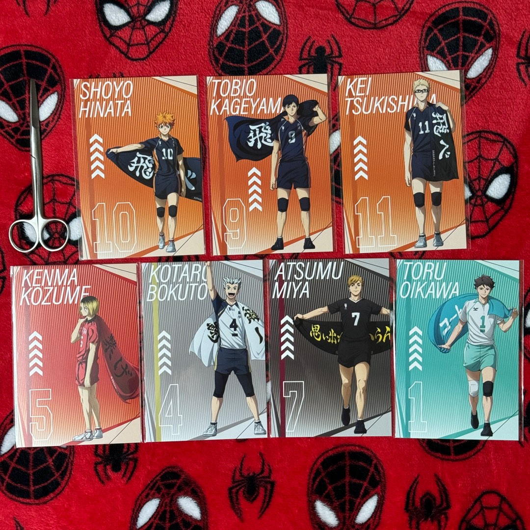 Haikyuu!! Sendai Posca, Hobbies & Toys, Memorabilia & Collectibles, Fan ...