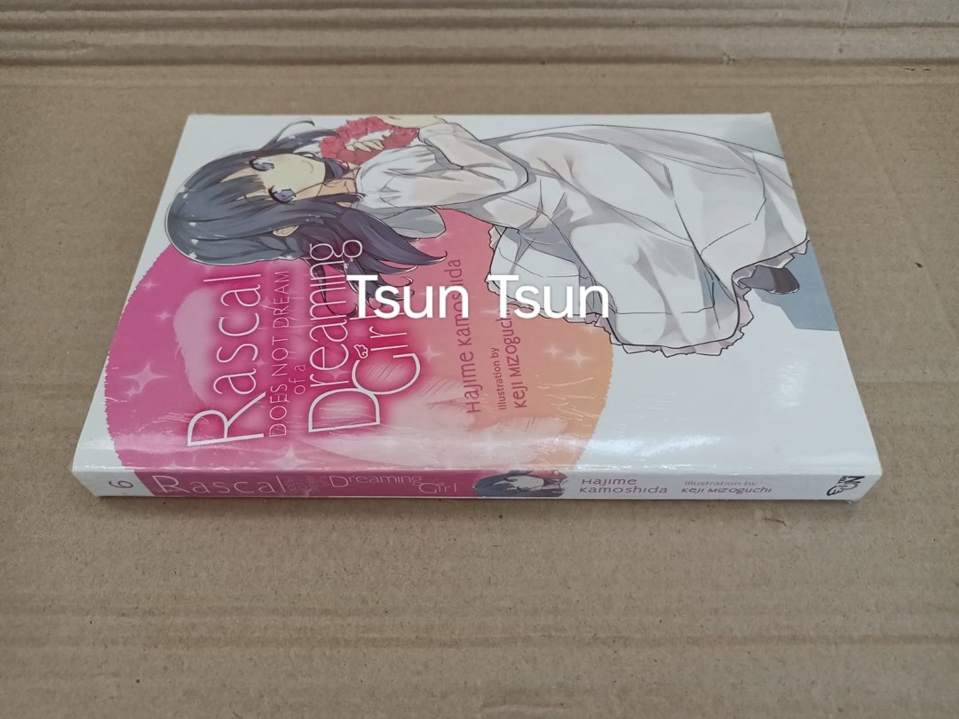 LIGHT NOVEL Rascal Does Not Dream of a Dreaming Girl Volume 06 HAJIME ...