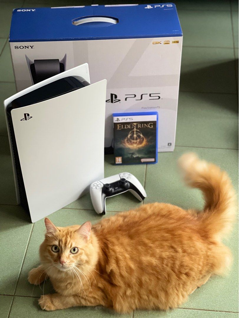 PS5 Standard Edition (Japan), Video Gaming, Video Game Consoles ...