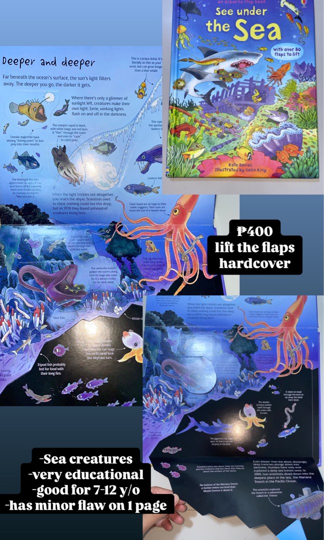 Usborne See Under The Sea [lift the flaps], Hobbies & Toys, Books ...