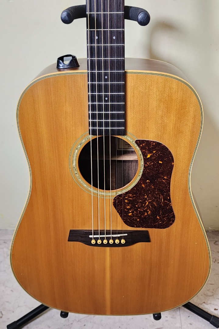 Walden Natura D600 Natural Solid Top Acoustic Steel String Dreadnought ...