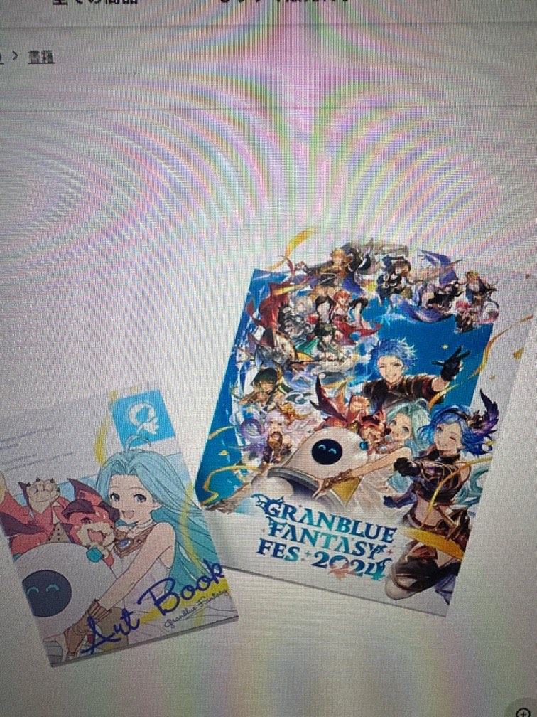 GBF Granblue Fantasy Fes 2024 Pamphlet + in game code , Video Gaming, Gaming Accessories, In ...