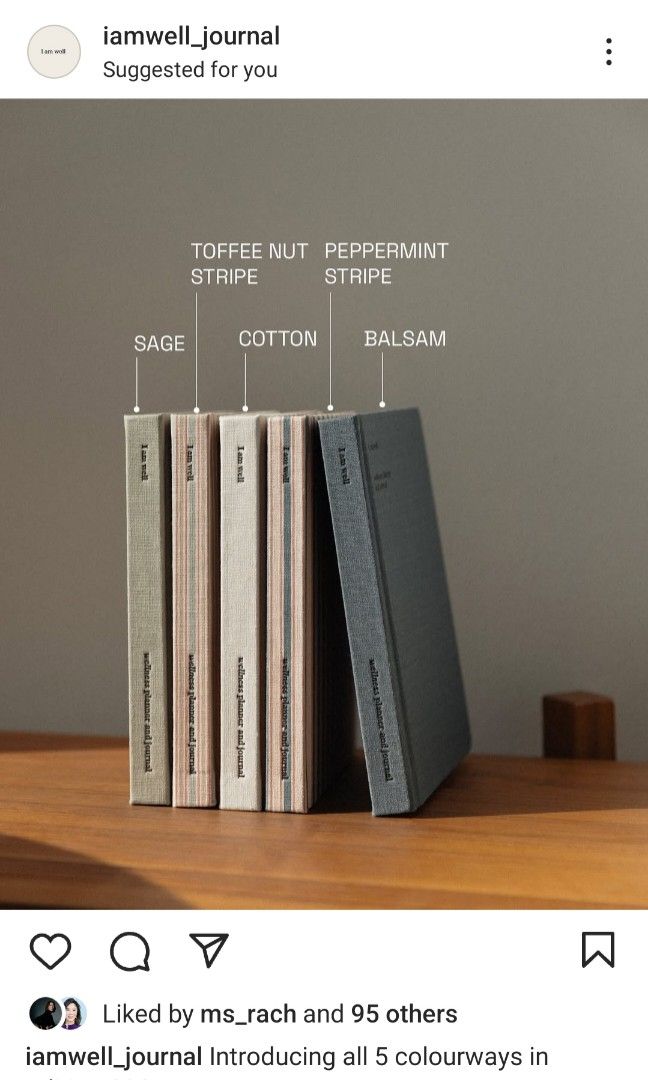 I AM WELL Journal (SAGE) by Ms Rach (Love Bonito) & Crystal Lim ...