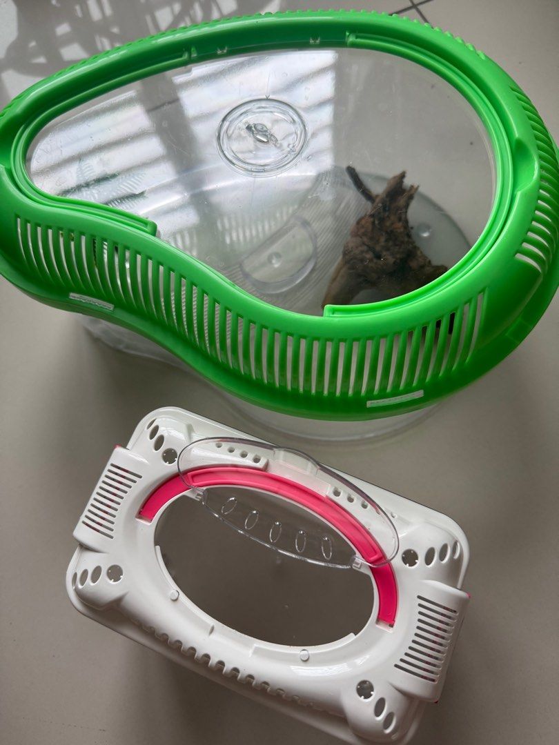 Turtle Cage, BUY 1 FREE 1, Pet Supplies, Homes & Other Pet Accessories ...